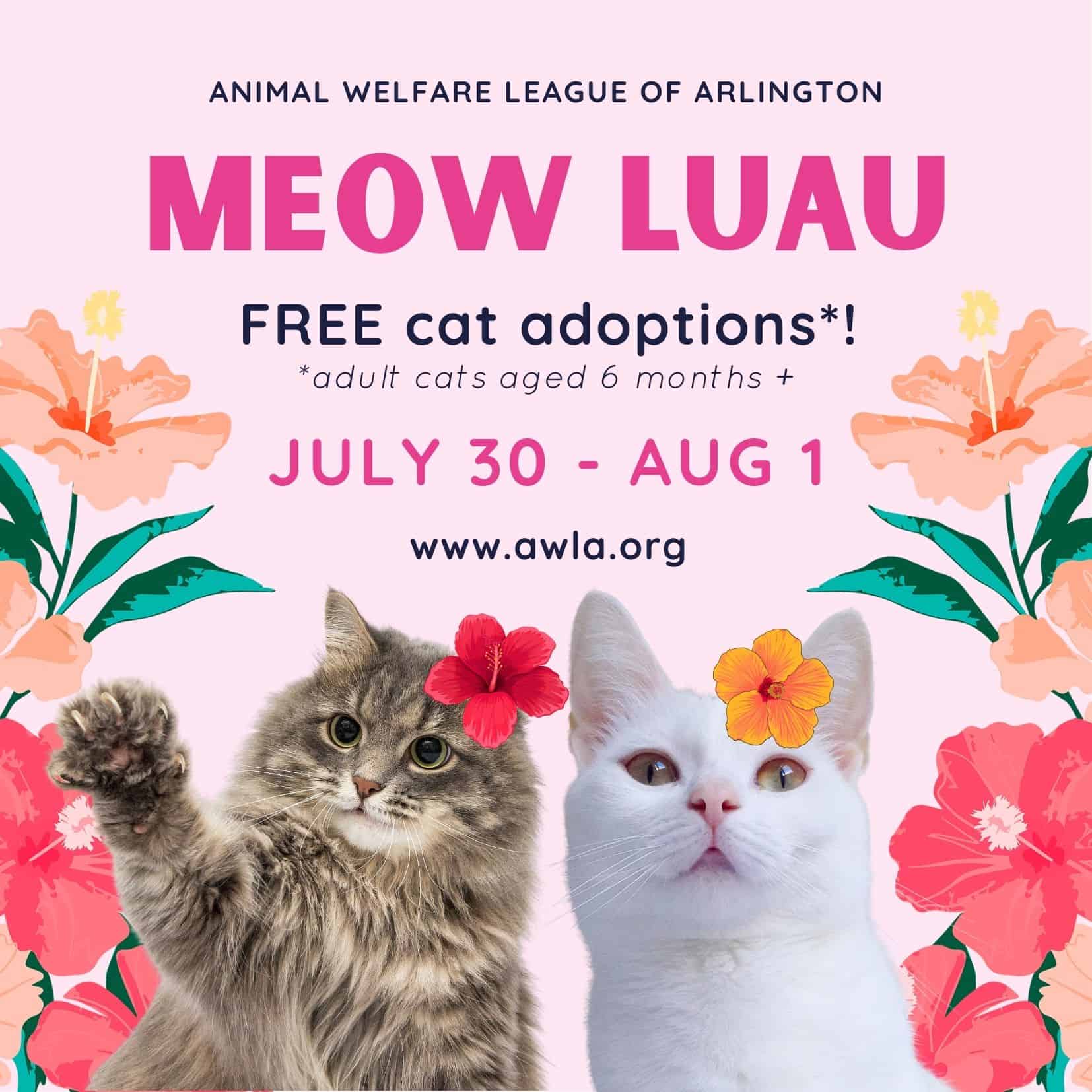 Meow Luau Adoption Event - Animal Welfare League of Arlington