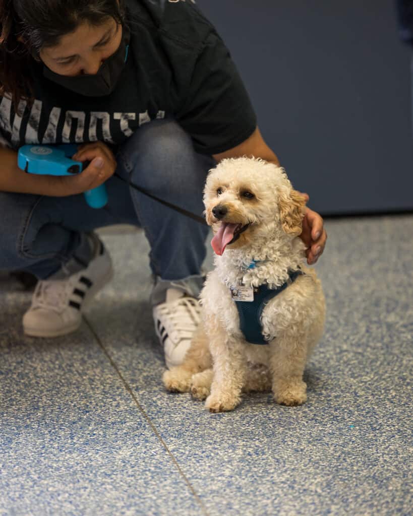 Community Care Clinics - Animal Welfare League of Arlington