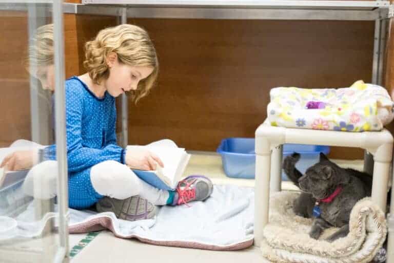 Paws & Read - Animal Welfare League of Arlington