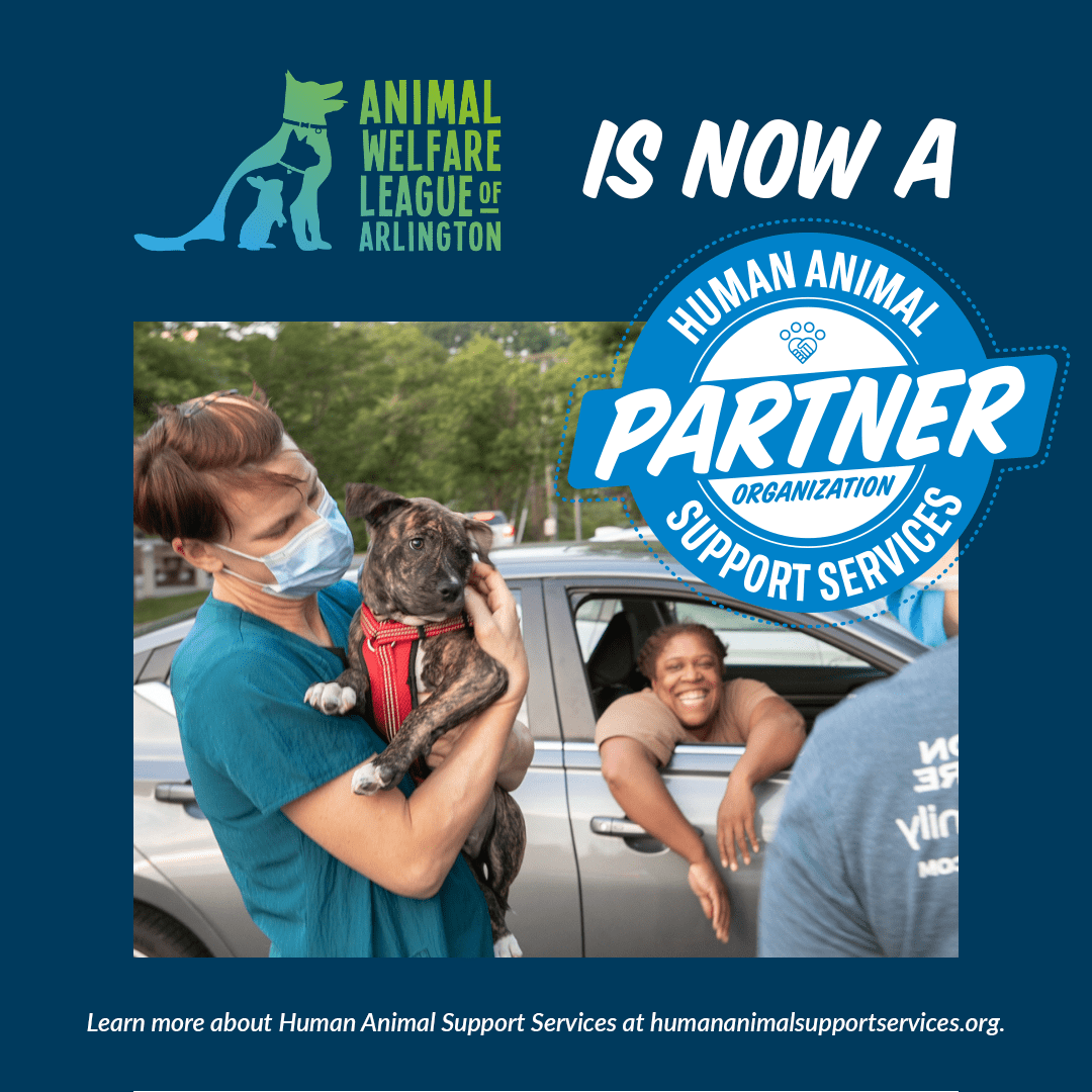 AWLA Announces New Partnership with International Coalition, Human ...