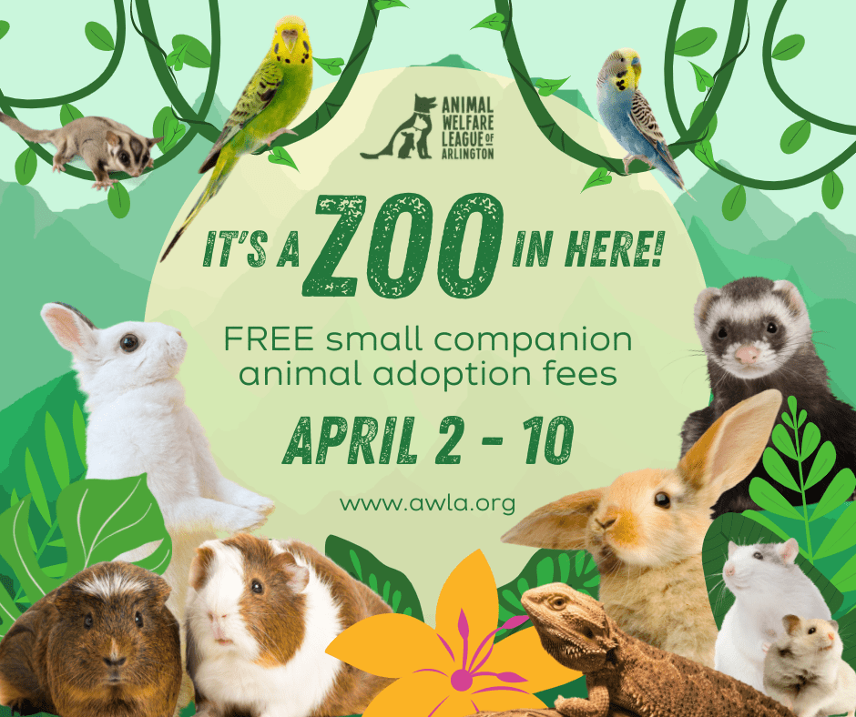 It's A Zoo In Here - Adoption Event - Animal Welfare League of Arlington