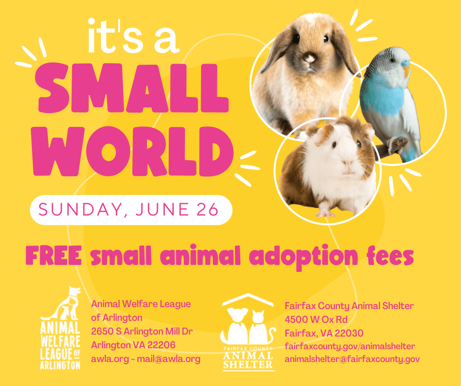 It's A Small World - Adoption Event - Animal Welfare League of Arlington