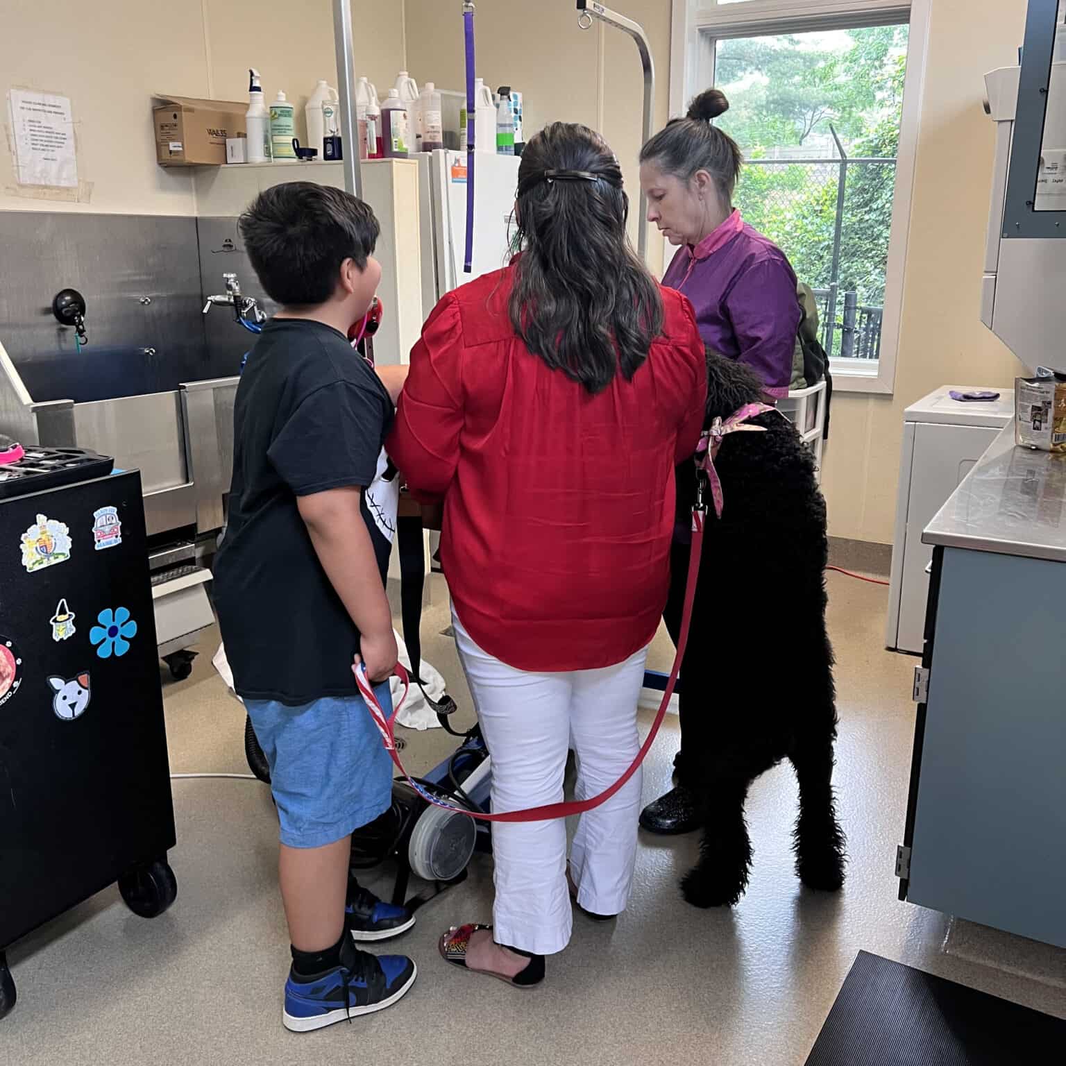 Transforming Lives through Love and Grooming - Animal Welfare League of ...