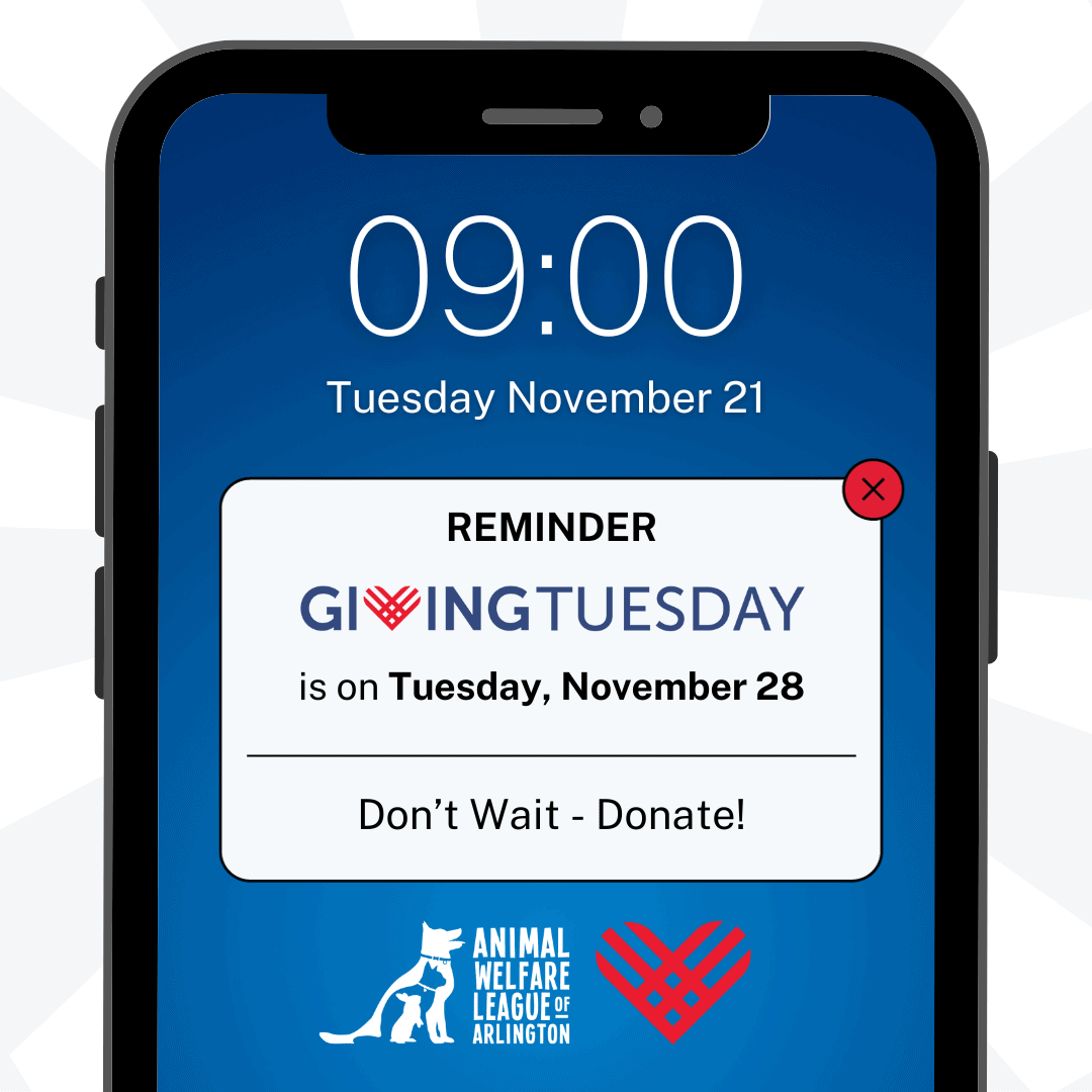 Support AWLA's Pet Pantry this Giving Tuesday - Animal Welfare League ...