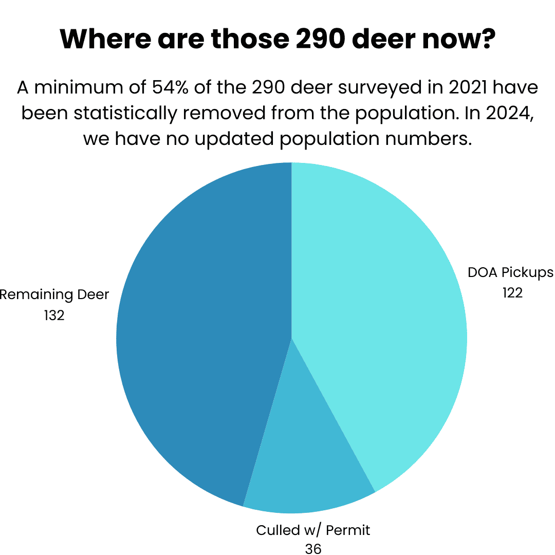 Virginia White-Tailed Deer - Animal Welfare League of Arlington