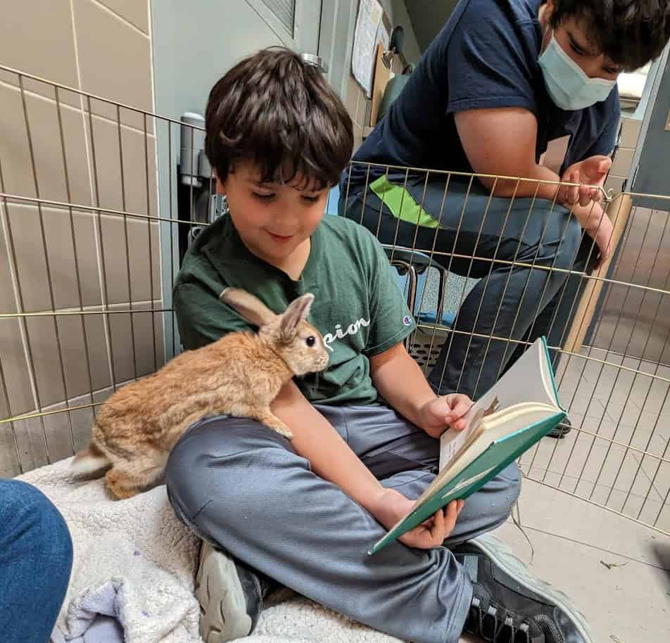 Paws & Read - Animal Welfare League of Arlington