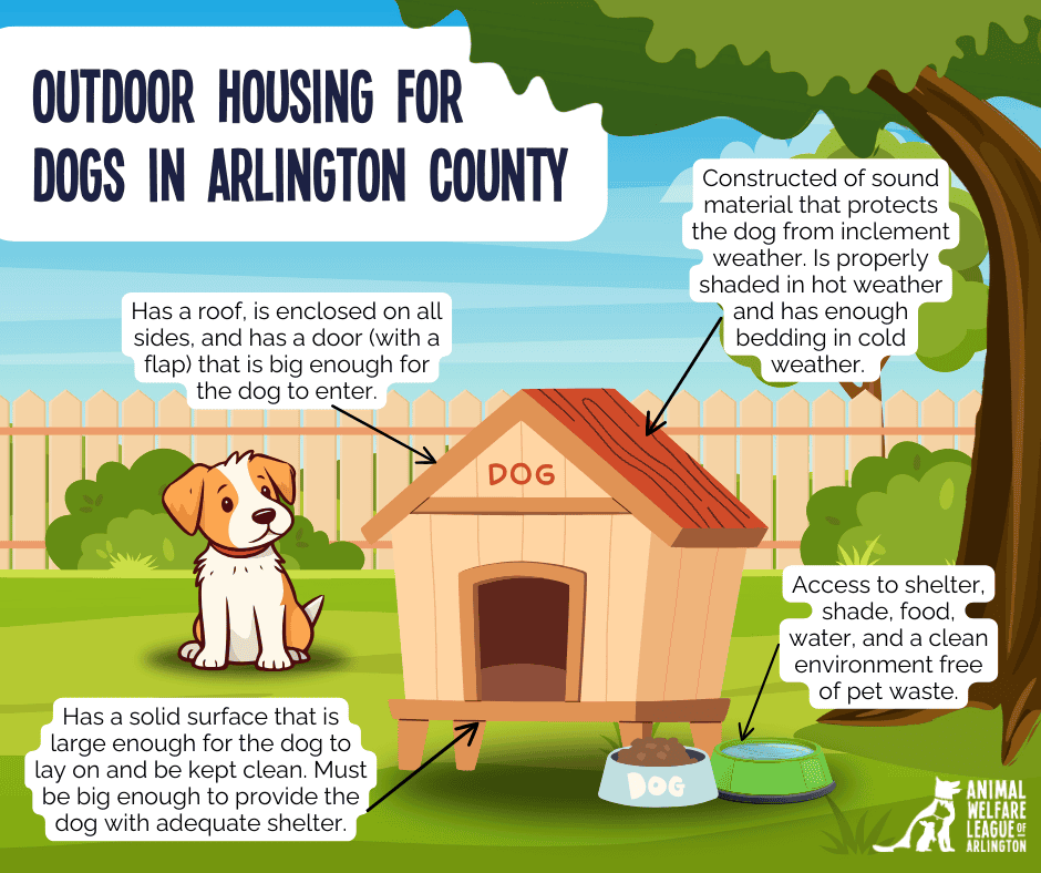 Ensuring Proper Housing for Dogs in Arlington County - Animal Welfare ...