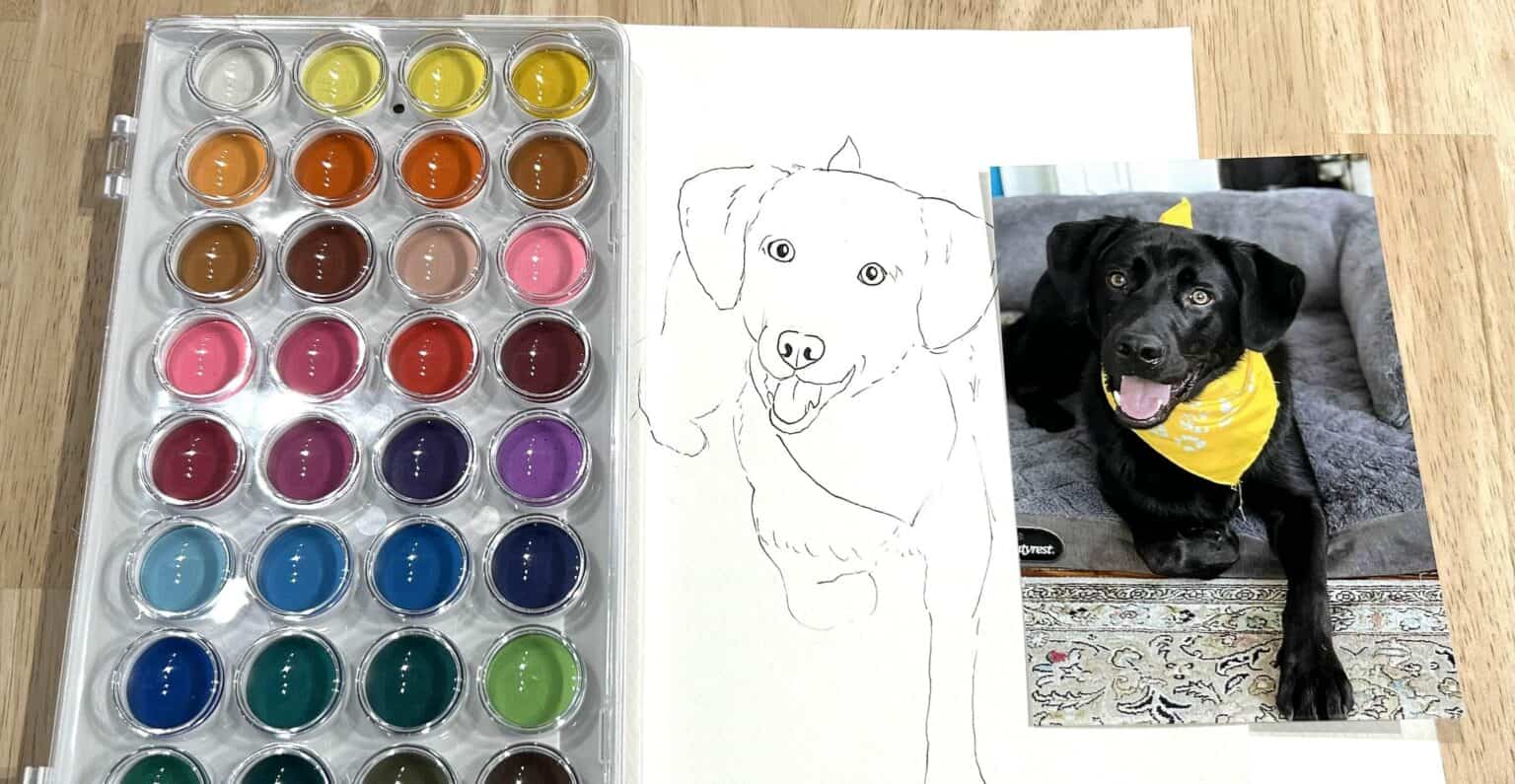 Animal Welfare League of Arlington - All in For Animals